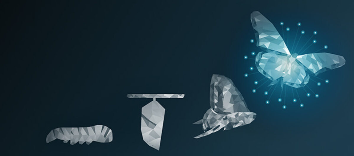 Scaling the Edge: Transformation in the Age of Disruption | D3 NZ